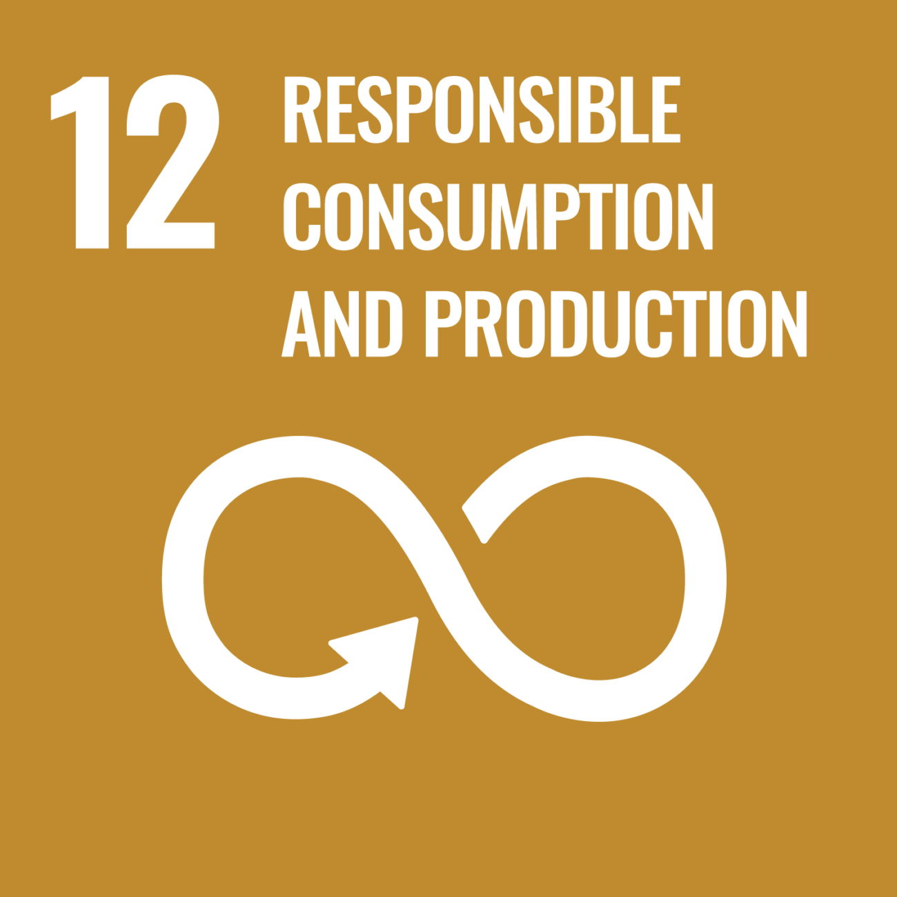 SDG 12 – Responsible Consumption and Production – Sustainable